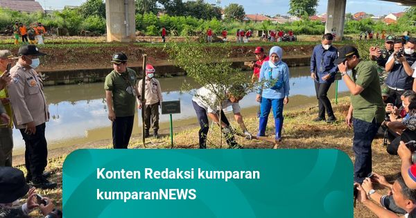 Heru Minta Pemkab Bekasi Ikut Tanam Pohon Di Kolong Becakayu